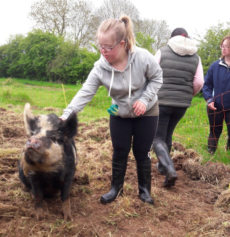 What is Social Farming - Social Farming Ireland