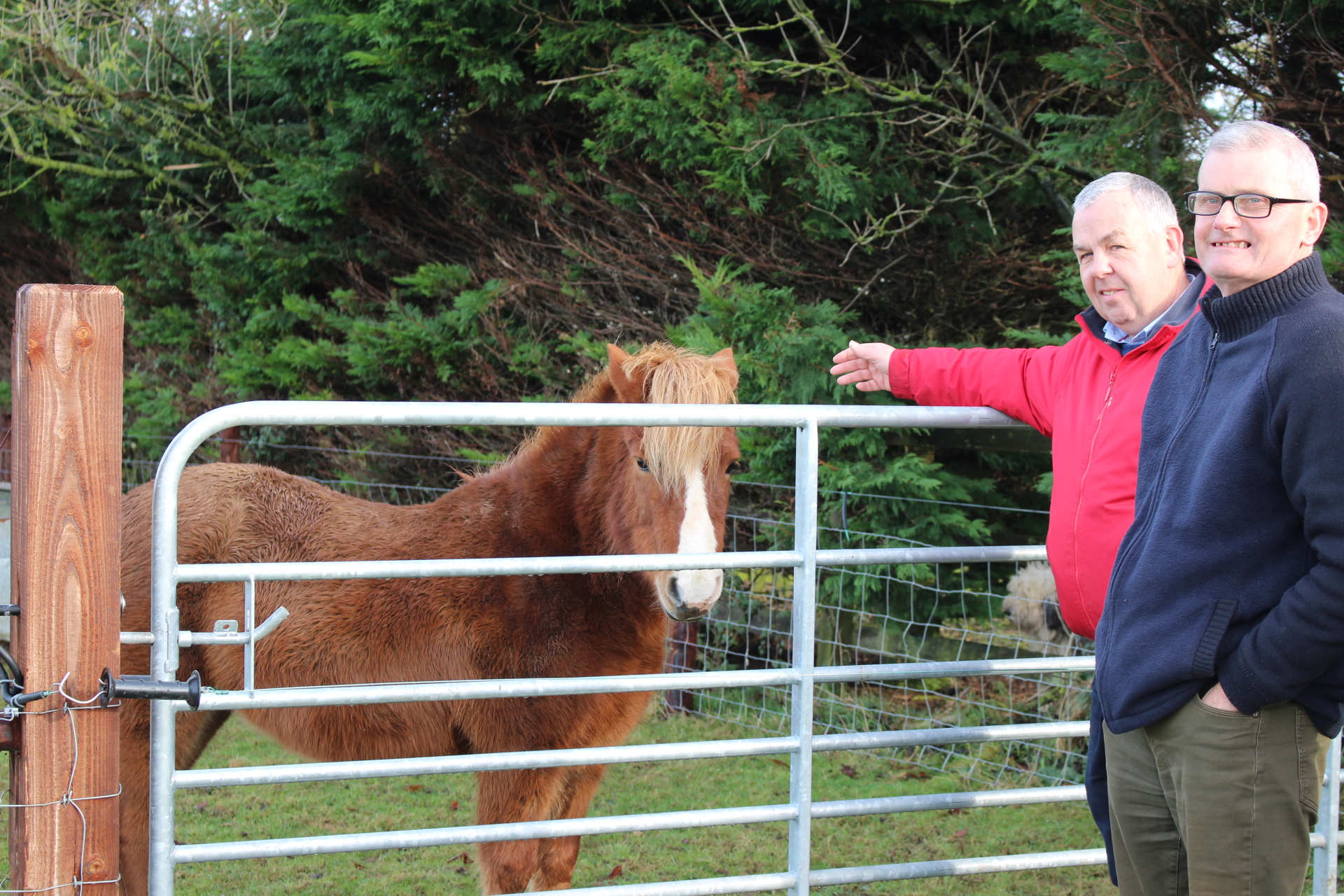 Farmer Perspective - Social Farming Ireland
