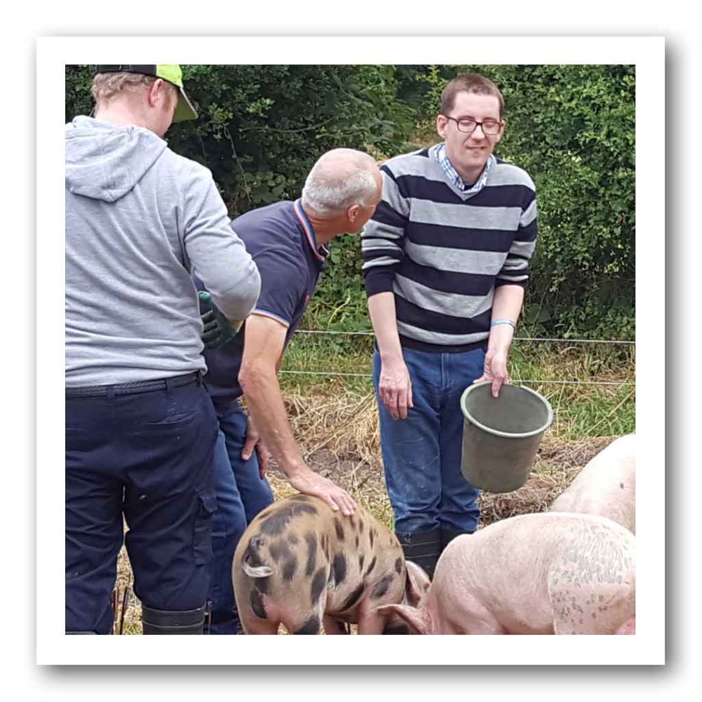 Participant Perspective - Social Farming Ireland