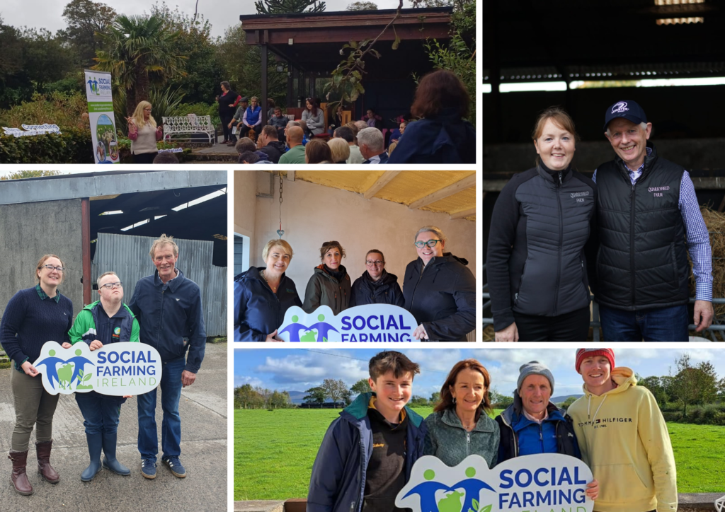 Social Farming Ireland Awareness Week 2023 - Social Farming Ireland