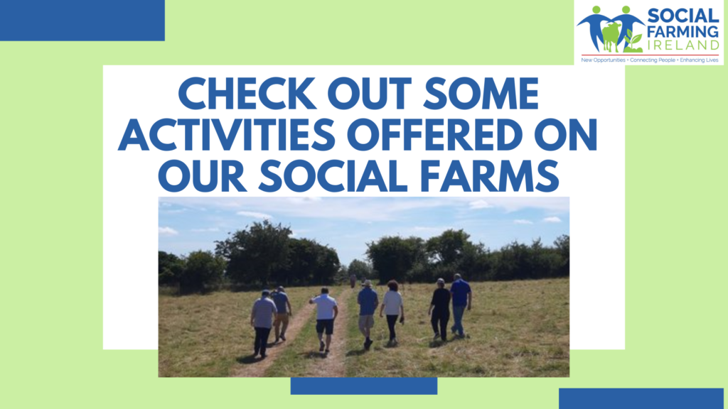 Social Farming Ireland
